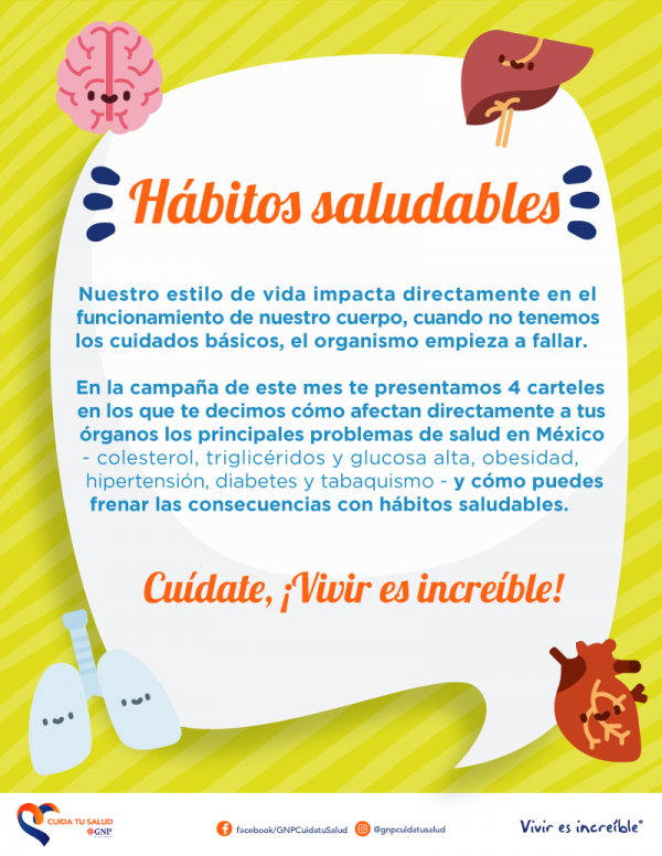 Los hábitos saludables y los órganos vitales - GNP cuida tu Salud